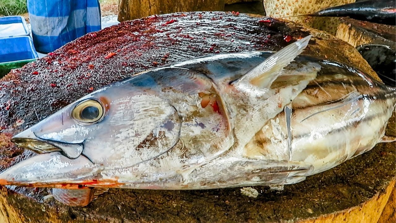 Wow!! Massive Skipjack Tuna Fish Cutting Skills By Strong Man Paradise ...