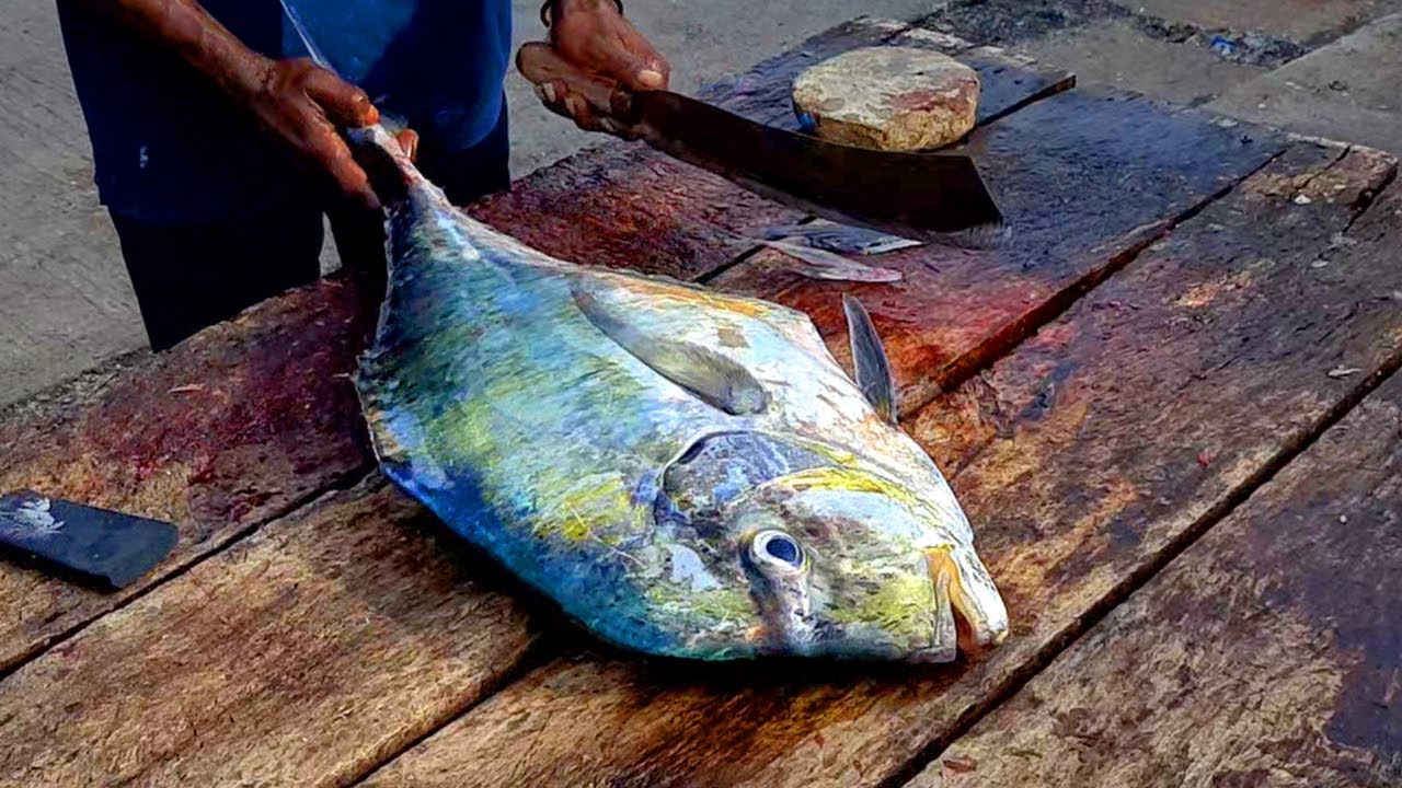 HUGE Multicolor DIAMOND TREVALLY FISH | Mirror-Fish Cutting SkillsASMR ...