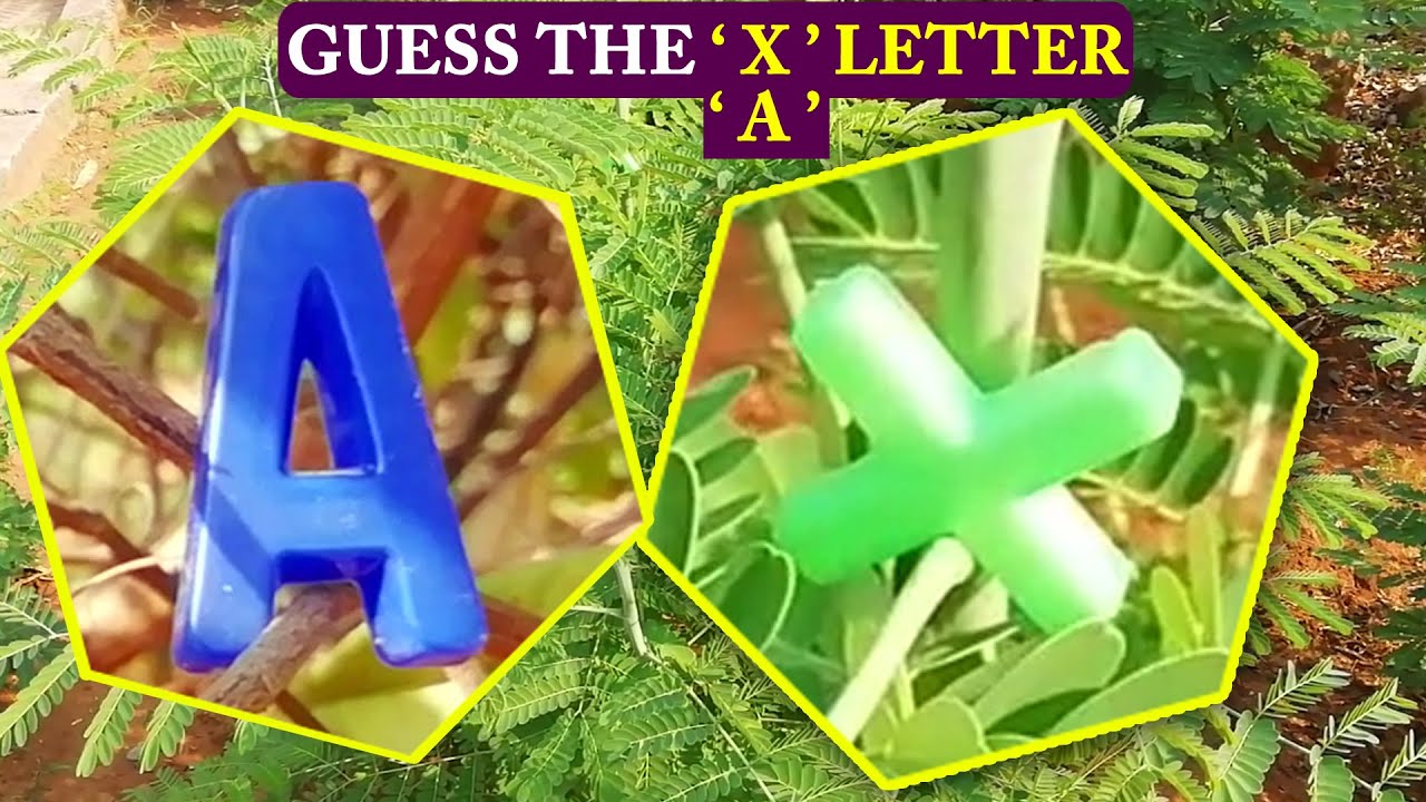 Guess The Hidden Letters Puzzle World Riddles US Puzzles IQ Test Brain ...