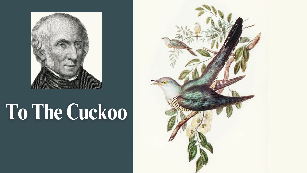 To The Cuckoo by William Wordsworth | Poetry reading about spring (in ...