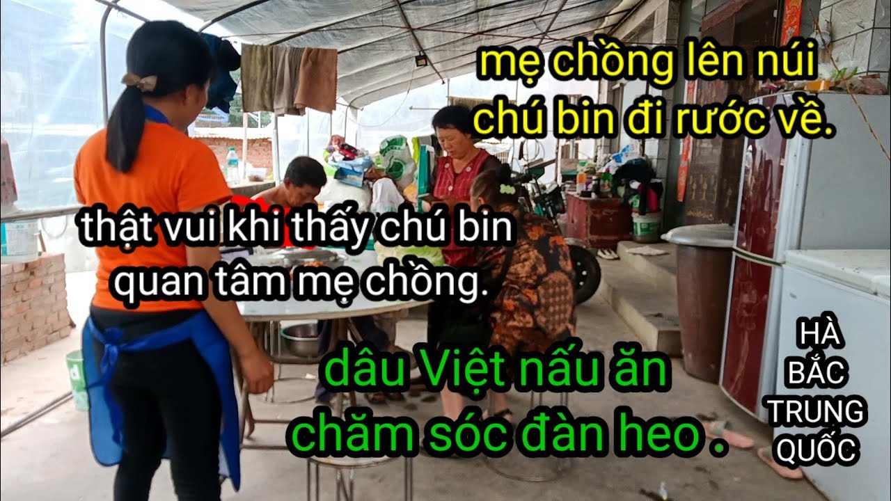 315.dâu việt Vui mừng khi THẤY CHÚ BIN quan tâm mẹ chồng_ làm mẻ trái ...