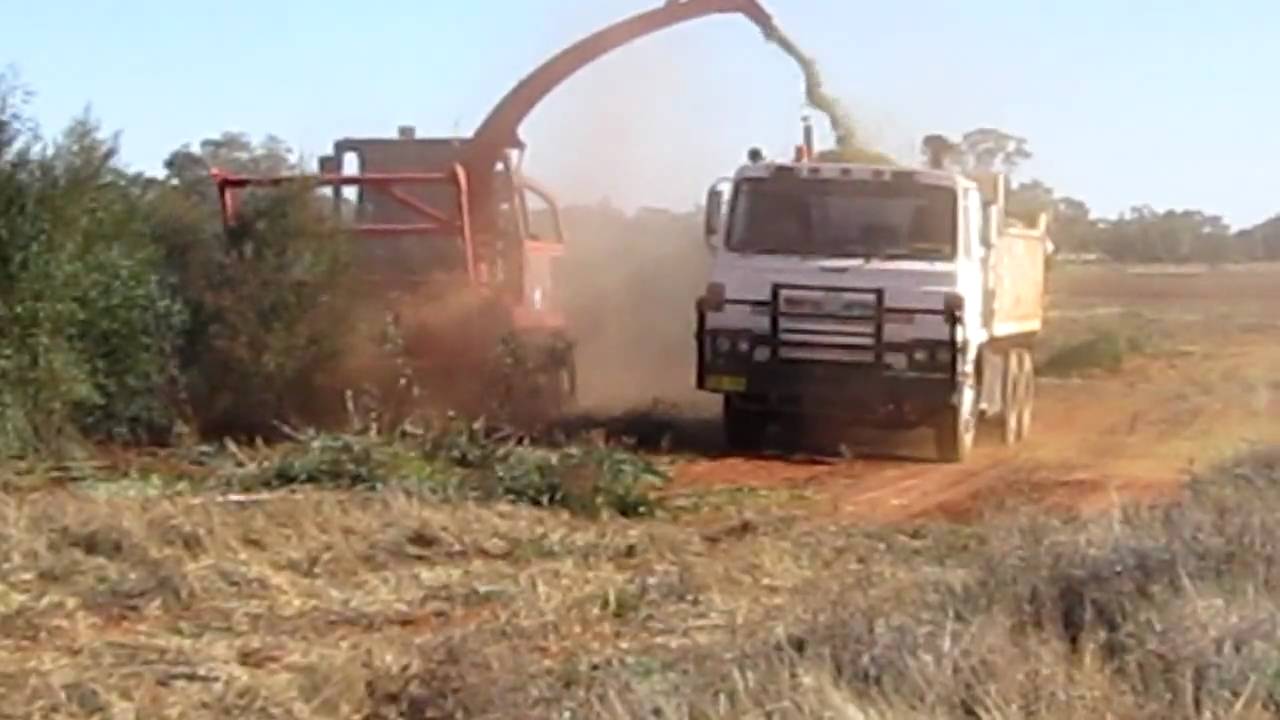 AHWI RT400 & H600 BIO HARVESTER OPERATING IN BLUE MALLEE 2 - YouTube