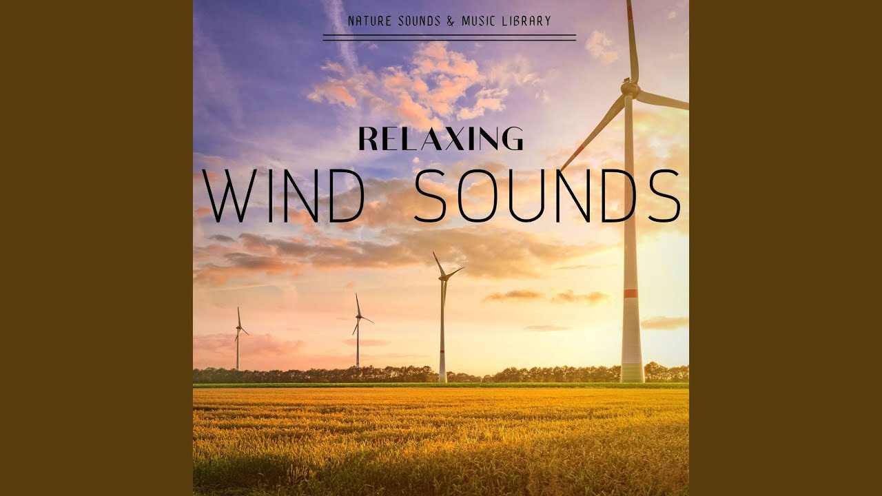 Relaxing Wind Sounds - YouTube