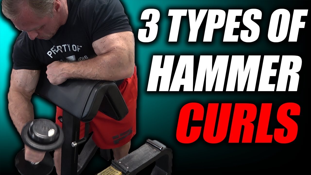 Hammer Curl Machine