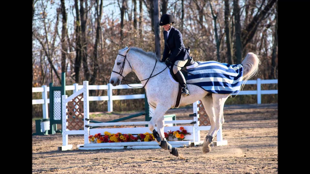 Saddle Ridge Riding Center - THANK YOU - YouTube