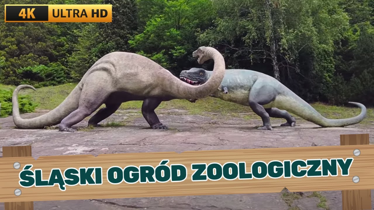 ZOO Śląski Ogród Zoologiczny w Chorzowie - YouTube