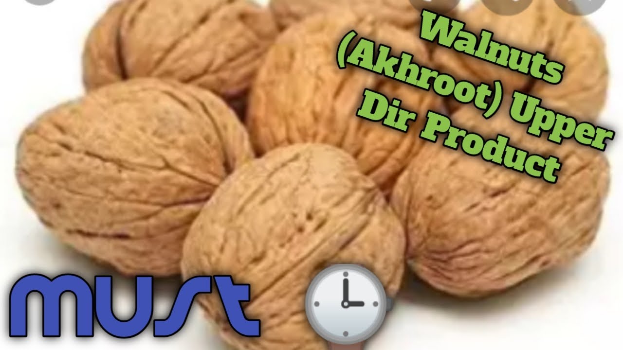 Dir upper famous walnuts (akhroot) - YouTube