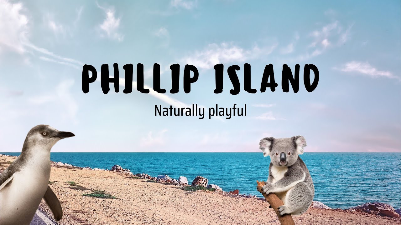 Philip Island | Aaj Koala aur penguins dono dekh liye | Australia Trip ...
