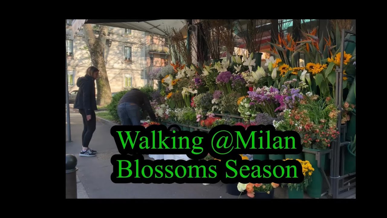 Walking in Milan Italy Spring Season - YouTube