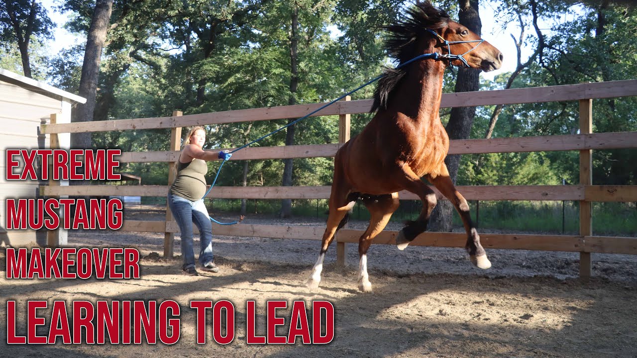 Learning to Lead | Extreme Mustang Makeover Day 4 - YouTube