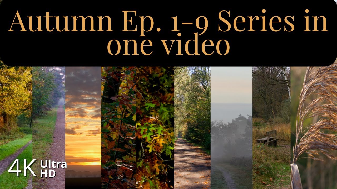 Autumn Nature Symphony 🍁 Autumn season in one video and Relaxing Music ...