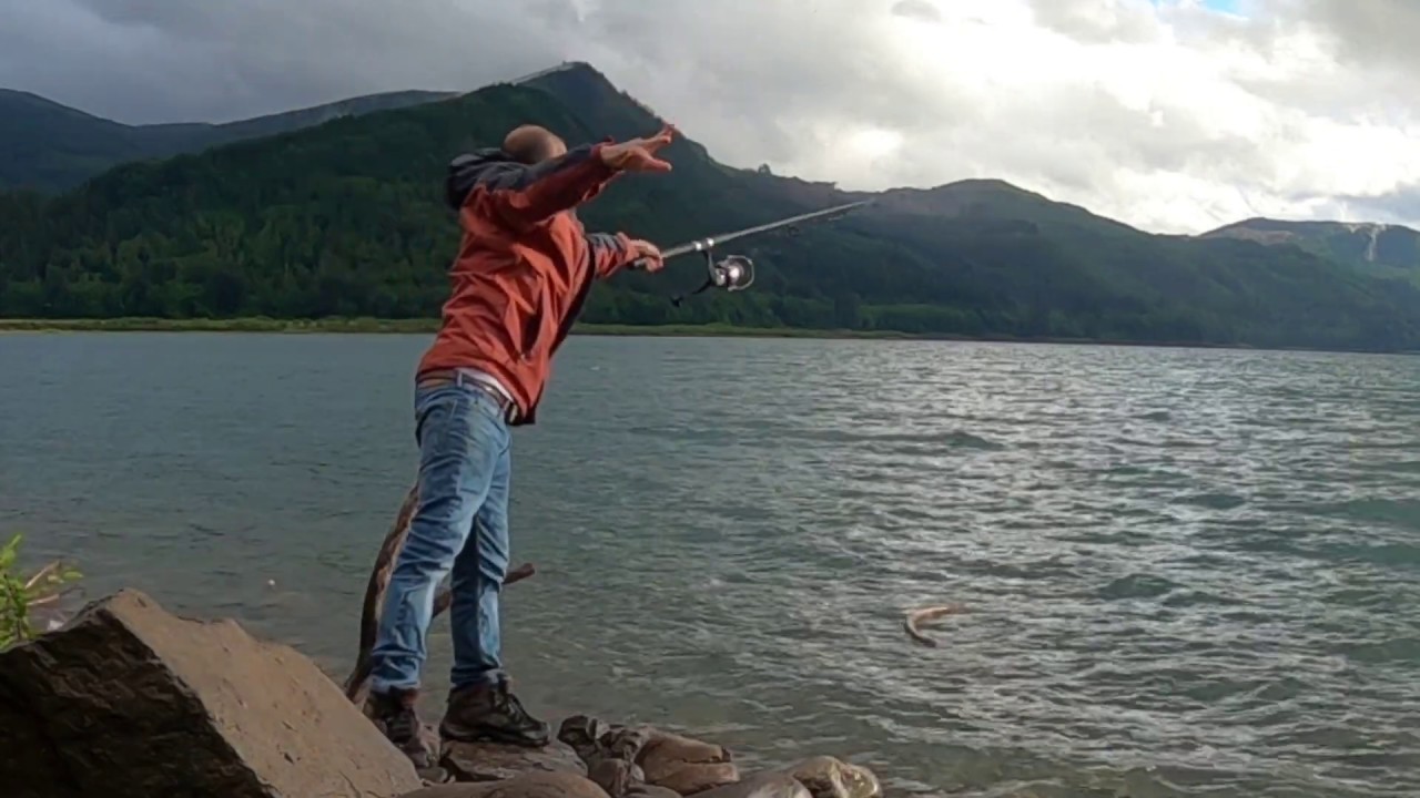 Checking Out Riffe Lake, WA Covid-19 | June 2020 🇺🇸 - YouTube