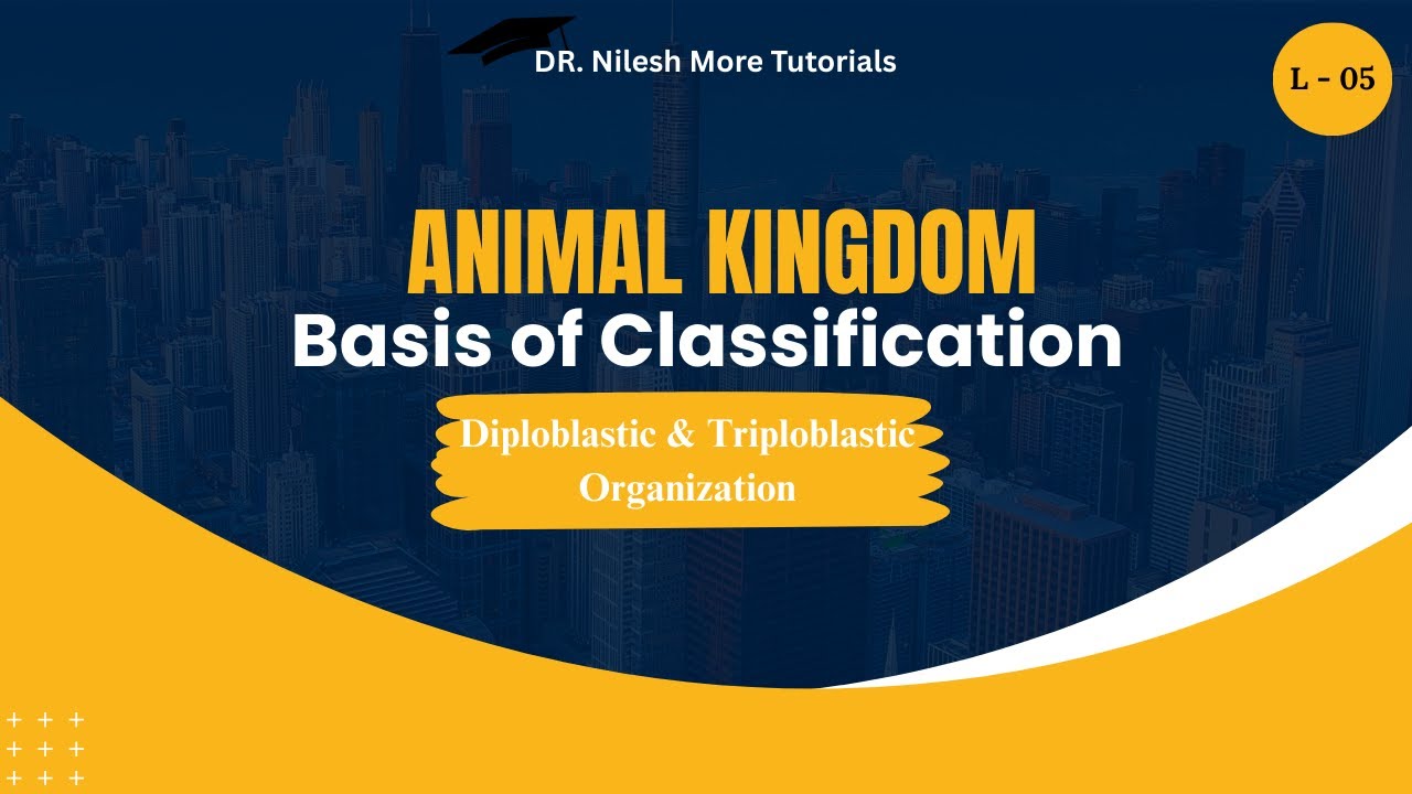 Animal Kingdom | Basis of Classification | Diploblastic and ...