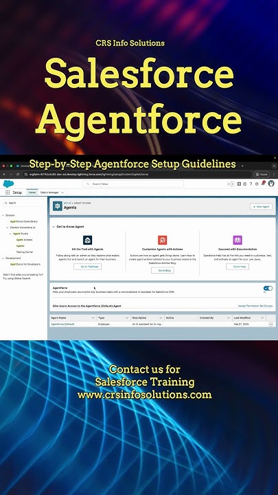 Salesforce Agentforce Tutorials Step by Step Handson session - YouTube