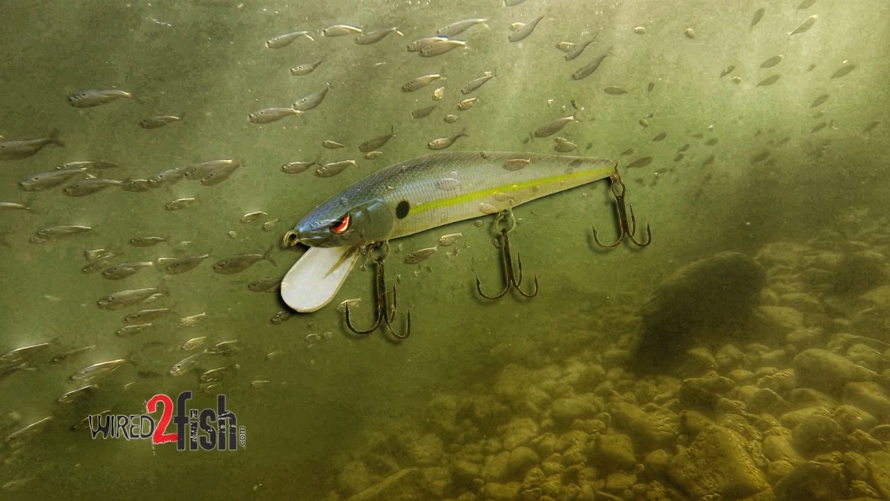 When to Fish Riprap With a Jerkbait - YouTube