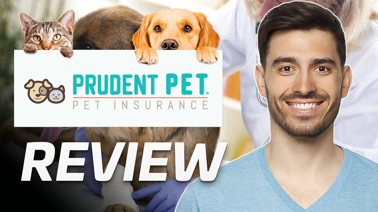 Prudent Pet Insurance Review | Is It Worth It? (2024) - YouTube