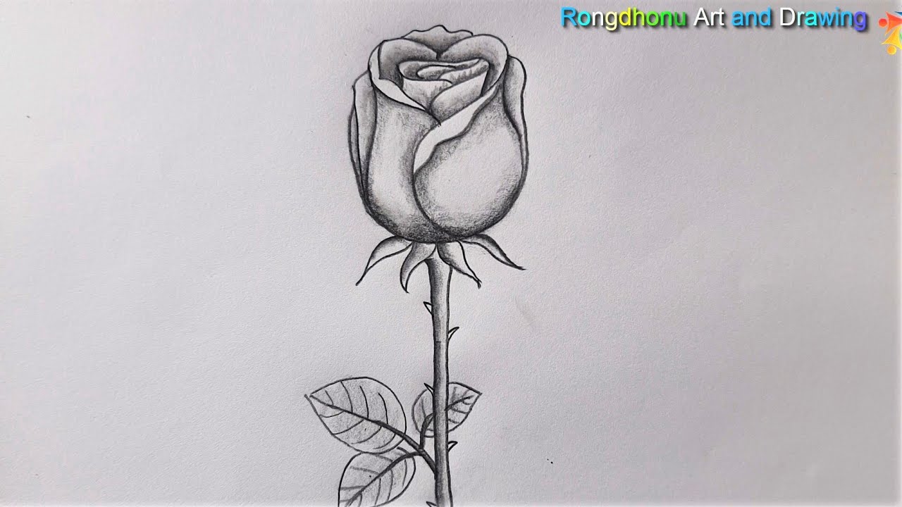 Golap Ful Drawing💖💖 গোলাপ ফুল আঁকানোর নিয়ম 💖💖 pencil Sketch - YouTube