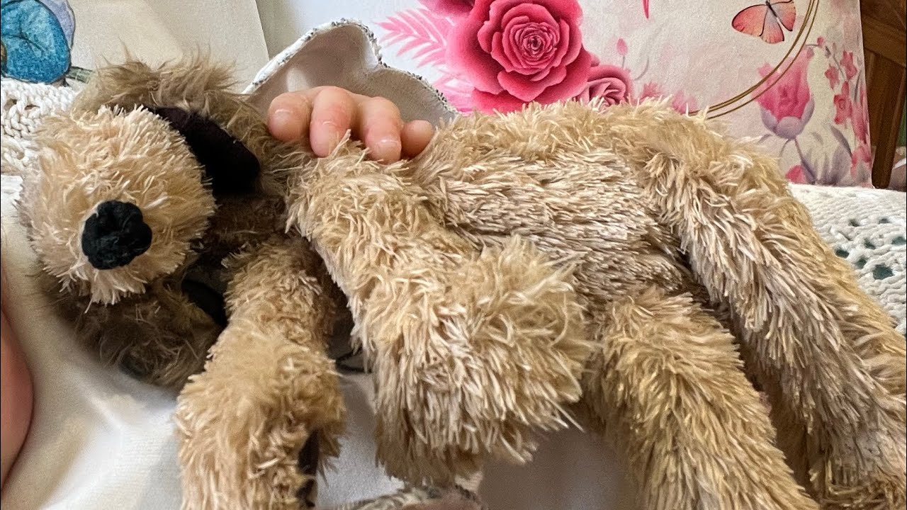 My full bodied silicone baby girl Edith ( Bella by Jenny Lee) in a ...