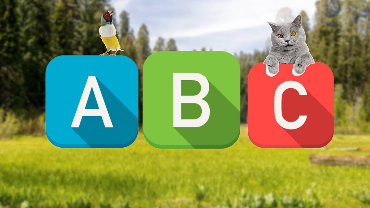 A arrow B bee | phonics song | Phonics song | abcd learning | alphabet ...