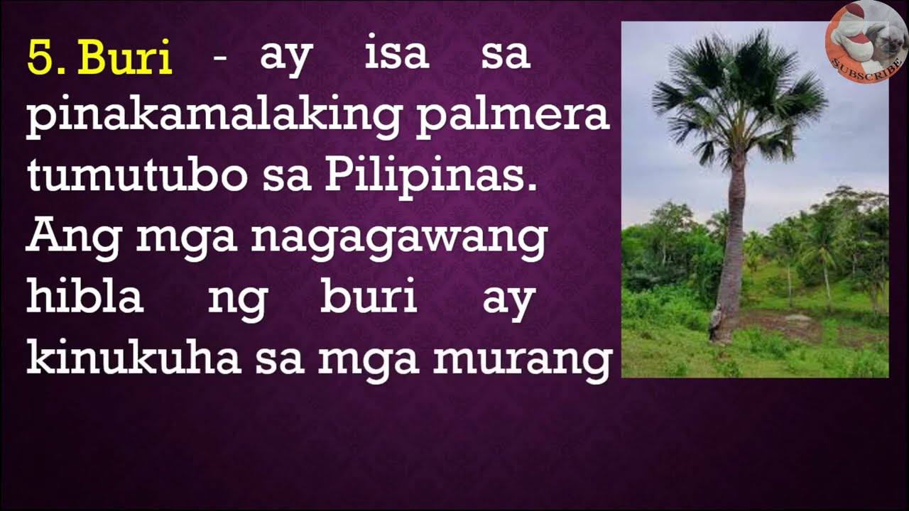 Quarter 4 Week 5 Grade 4 Epp Ibat Ibang Materyales Na Matatagpuan Sa Pamayanan Youtube