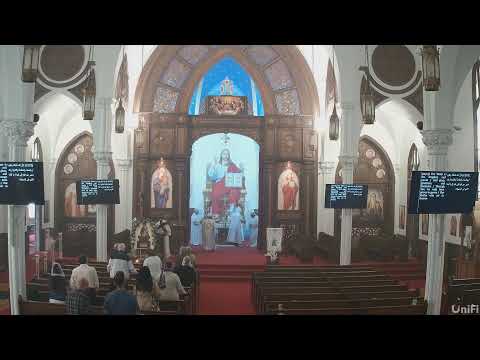 SSSK Live Stream