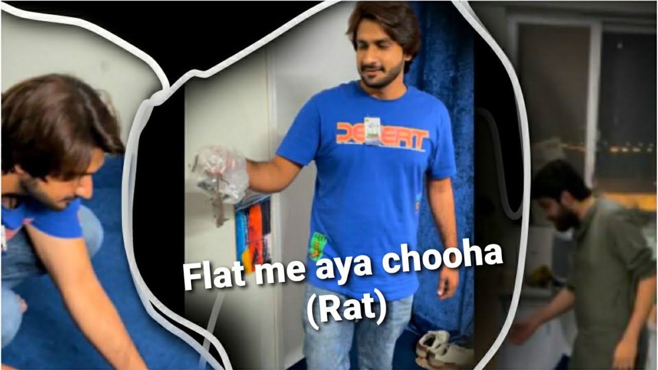 Flat me chooha RAT ghus gaya Lekin mene or sheikh ne shaheed krdia 😄 ...