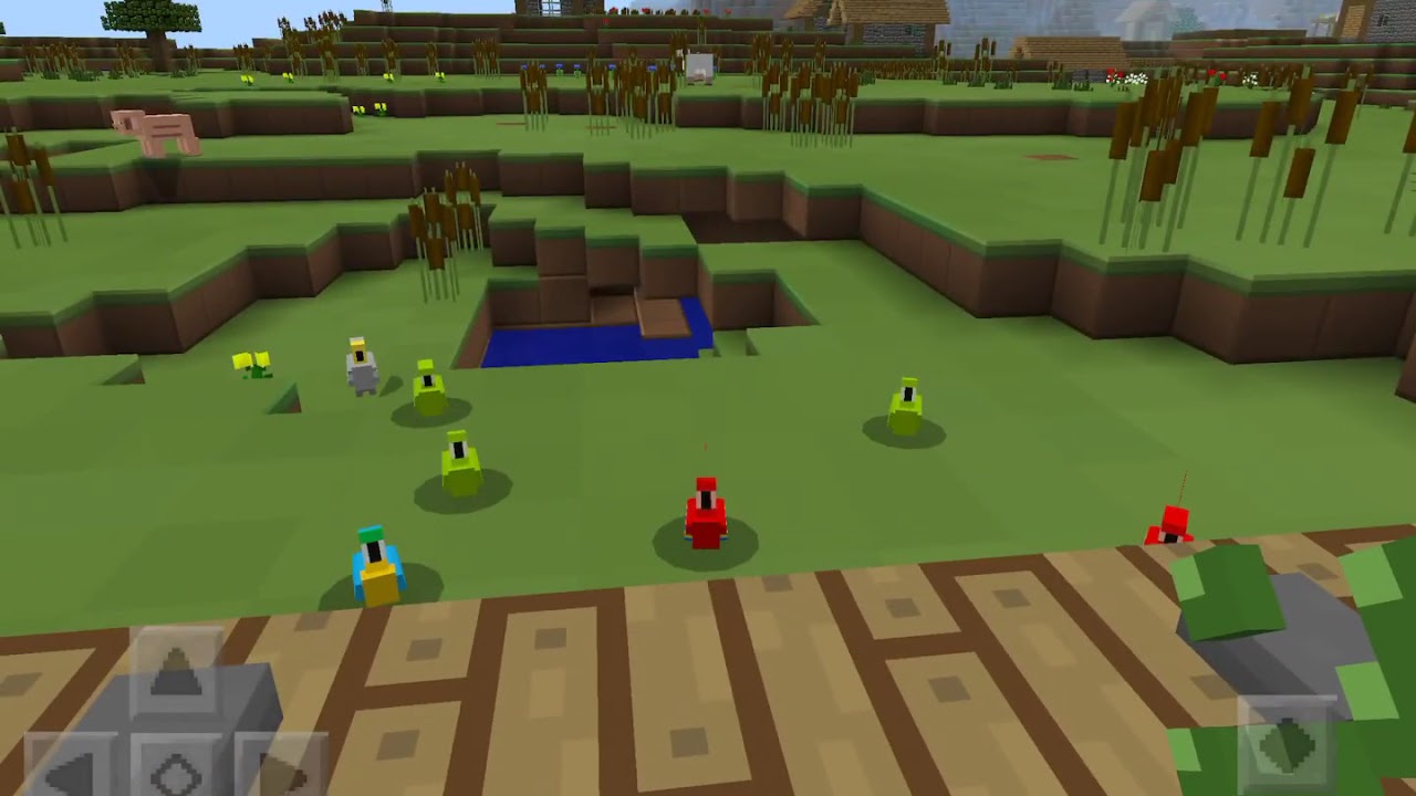 Parrot Rave - YouTube