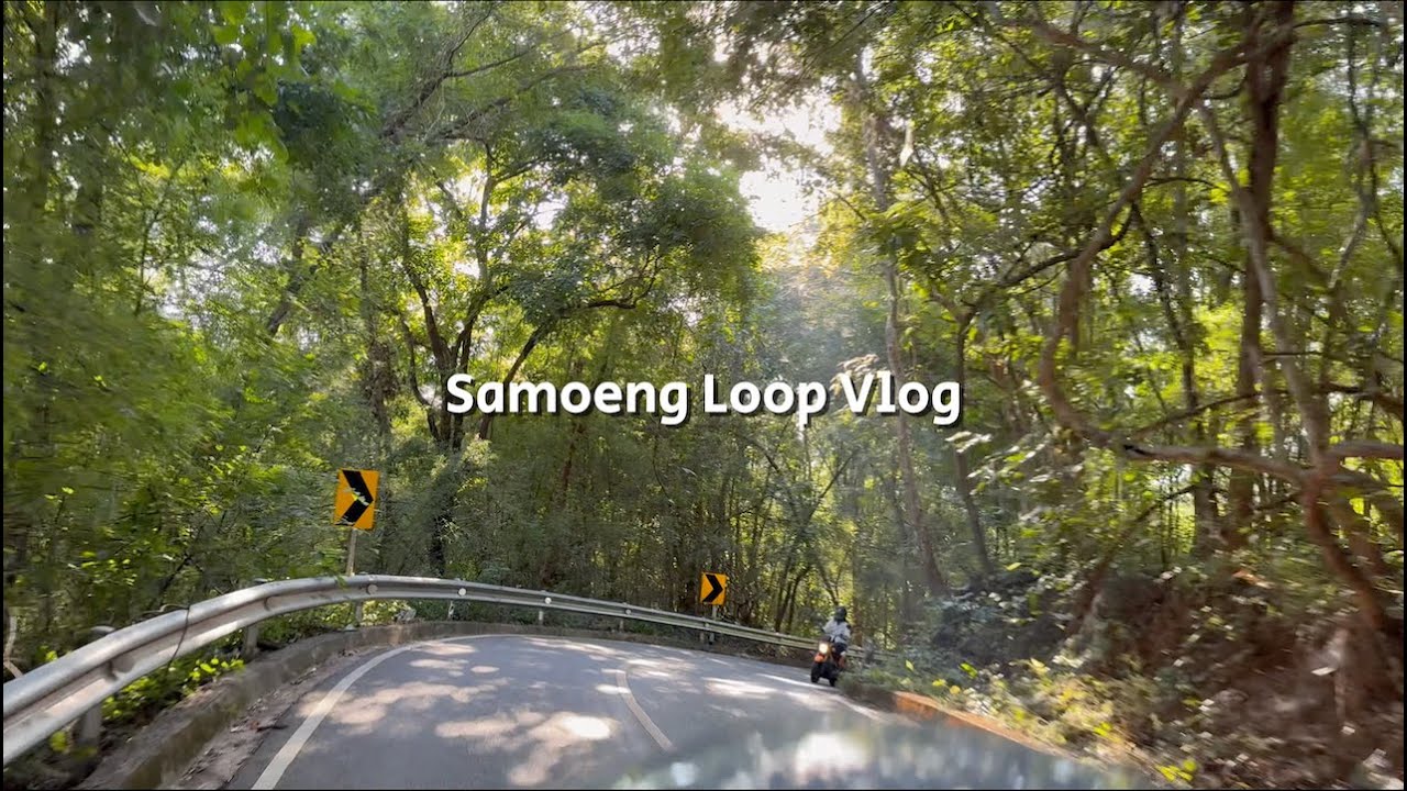 5-Min Samoeng Loop HIGHLIGHTS! 🛵 Chiang Mai Adventure VLOG (Winter ...