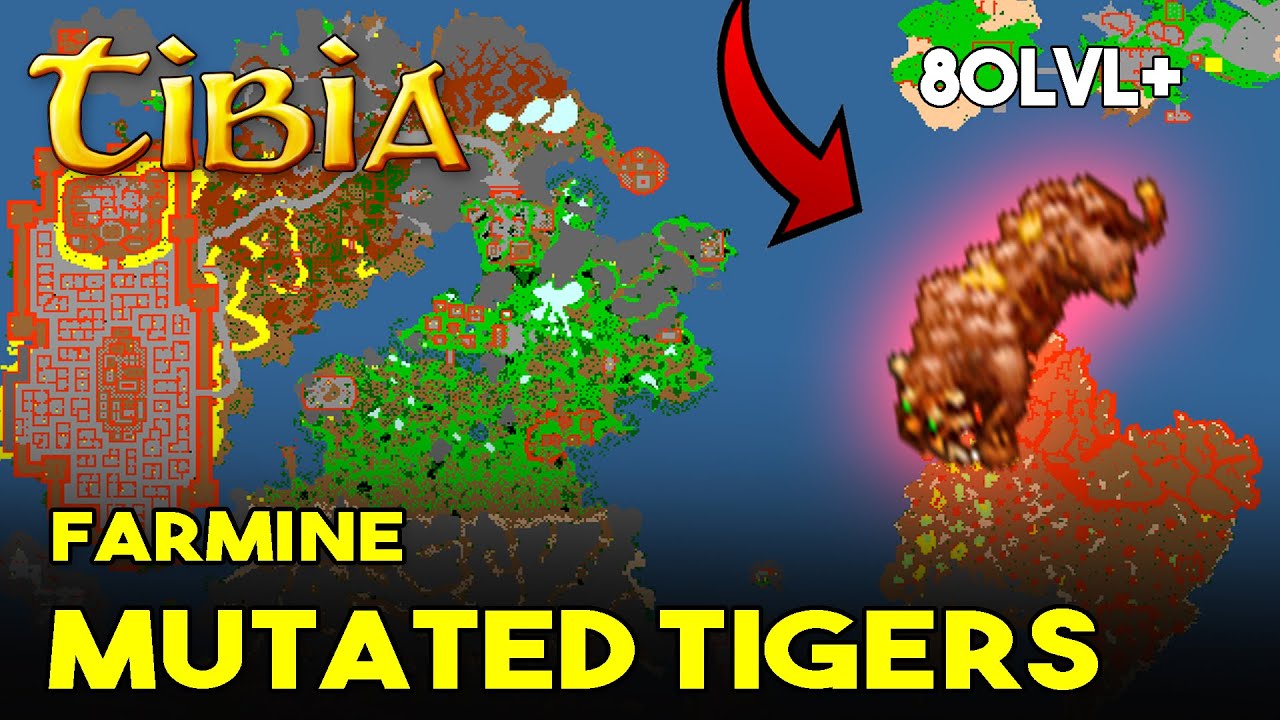 ZMUTOWANE TYGRYSKI Z PROFITEM NA ZAO - Tibia - Mutated Tiger Zao Jak dojść?! - YouTube