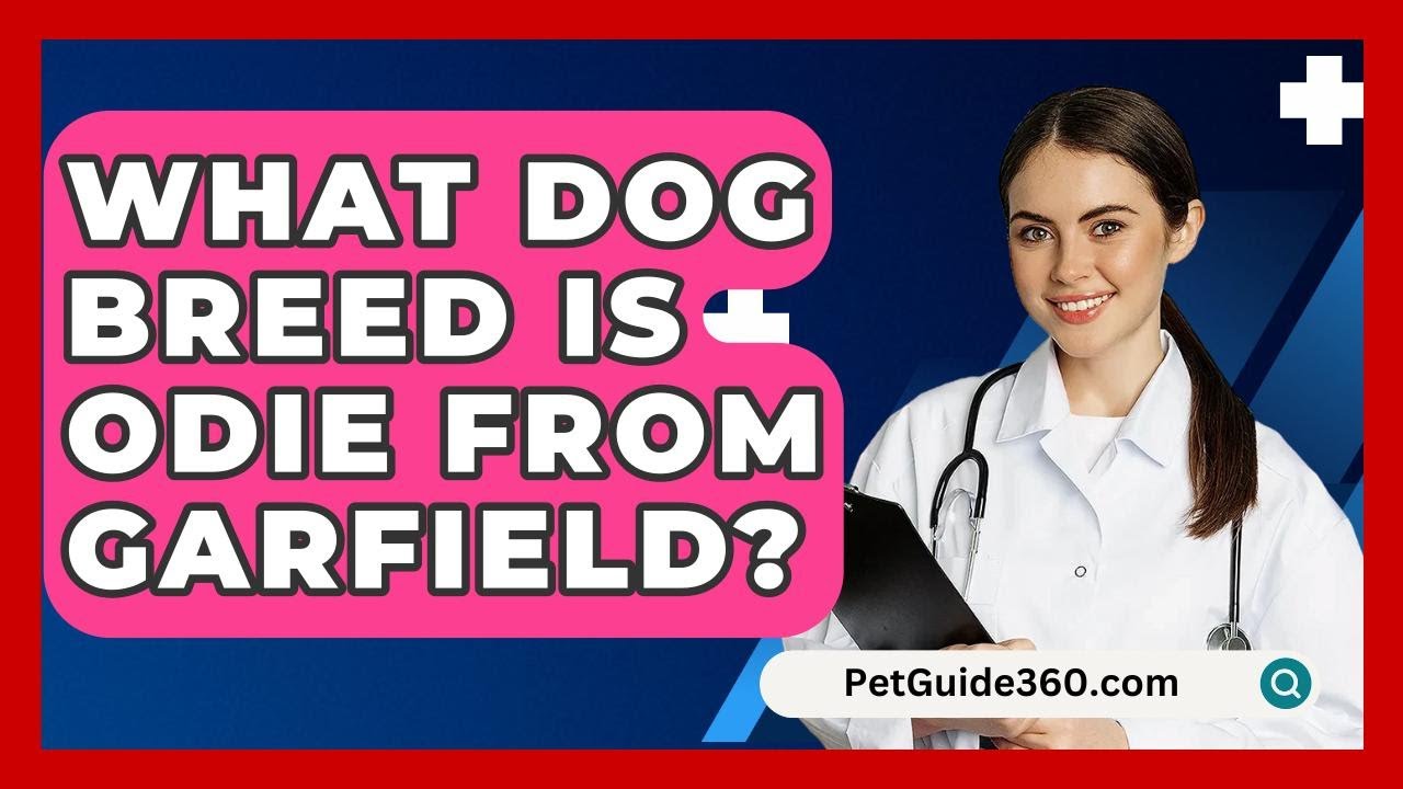 What Dog Breed Is Odie From Garfield? - PetGuide360.com - YouTube