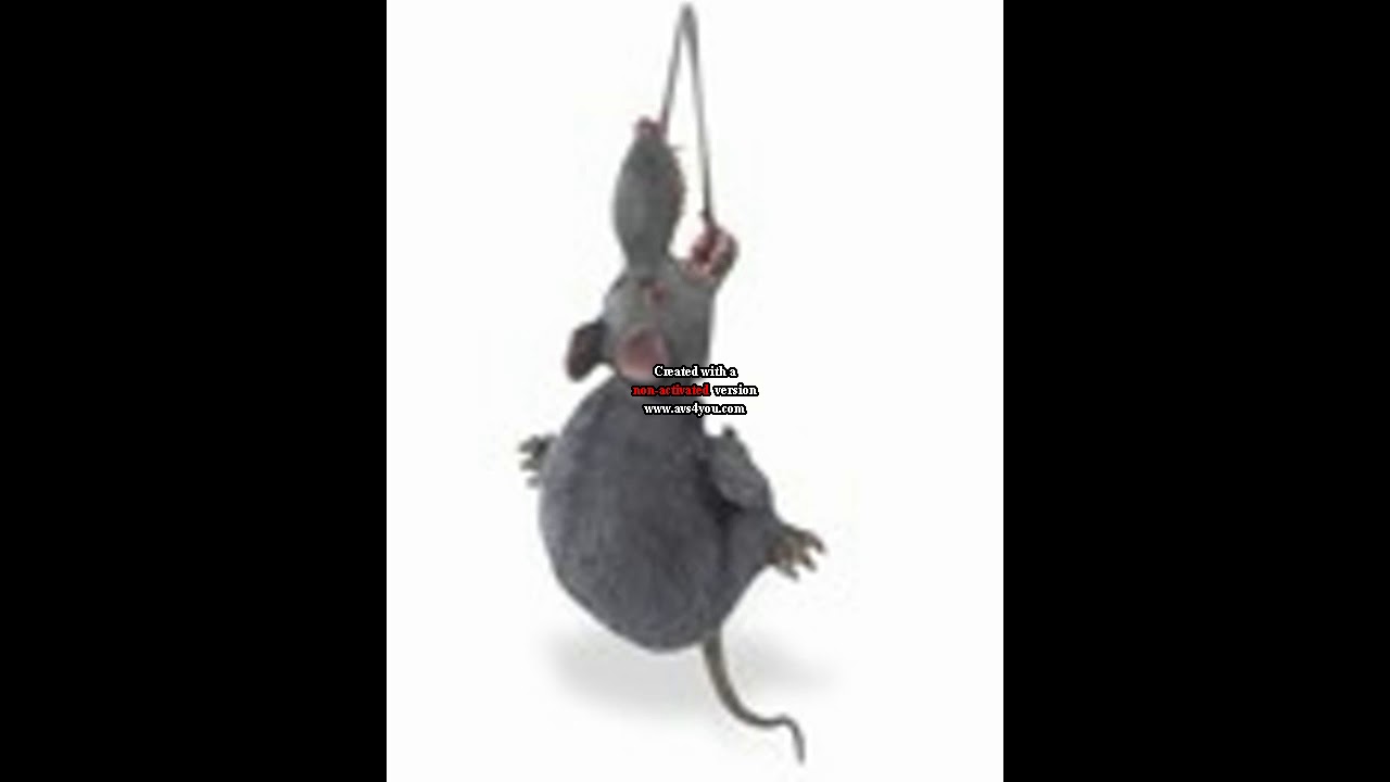 gemmy Animated Nibbling Rat - YouTube
