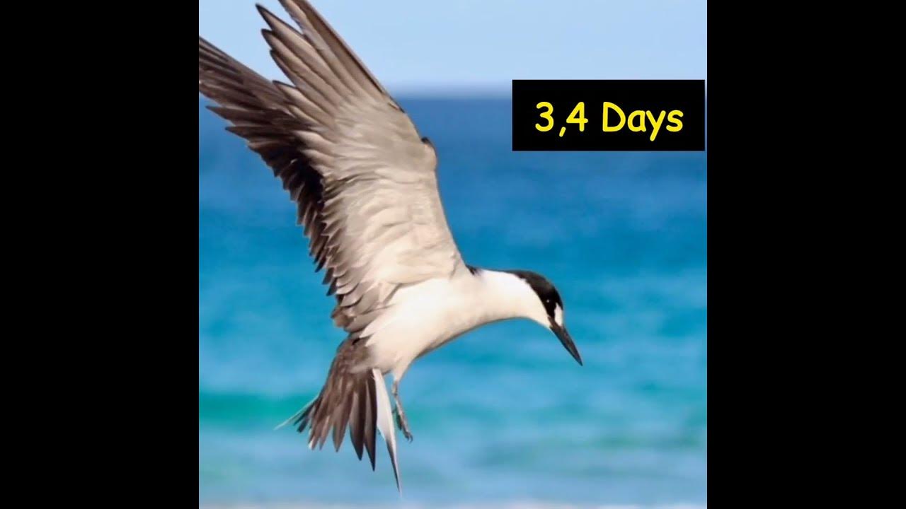 7 Most Interesting Fact About World Random Fact Fact short 7-most-interesting-fact-about-world-random-fact-fact-short