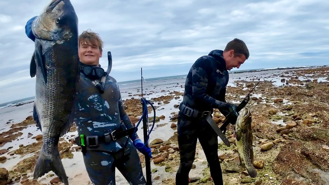 Spearfishing RARE AFRICAN FISH | RECORD White Musselcracker & RARE ...