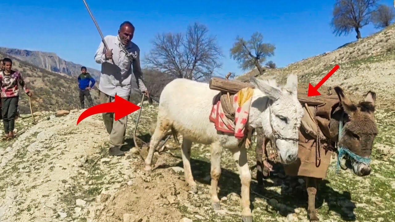 Village Events – The Forgotten World of Traditional Iranian Farming ...
