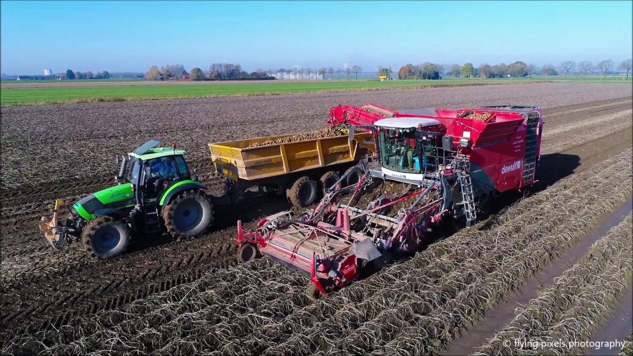 Aardappels rooien & inschuren / Potato harvest / Kartofelln roden / Dewulf / Deutz-Fahr / Fendt ...