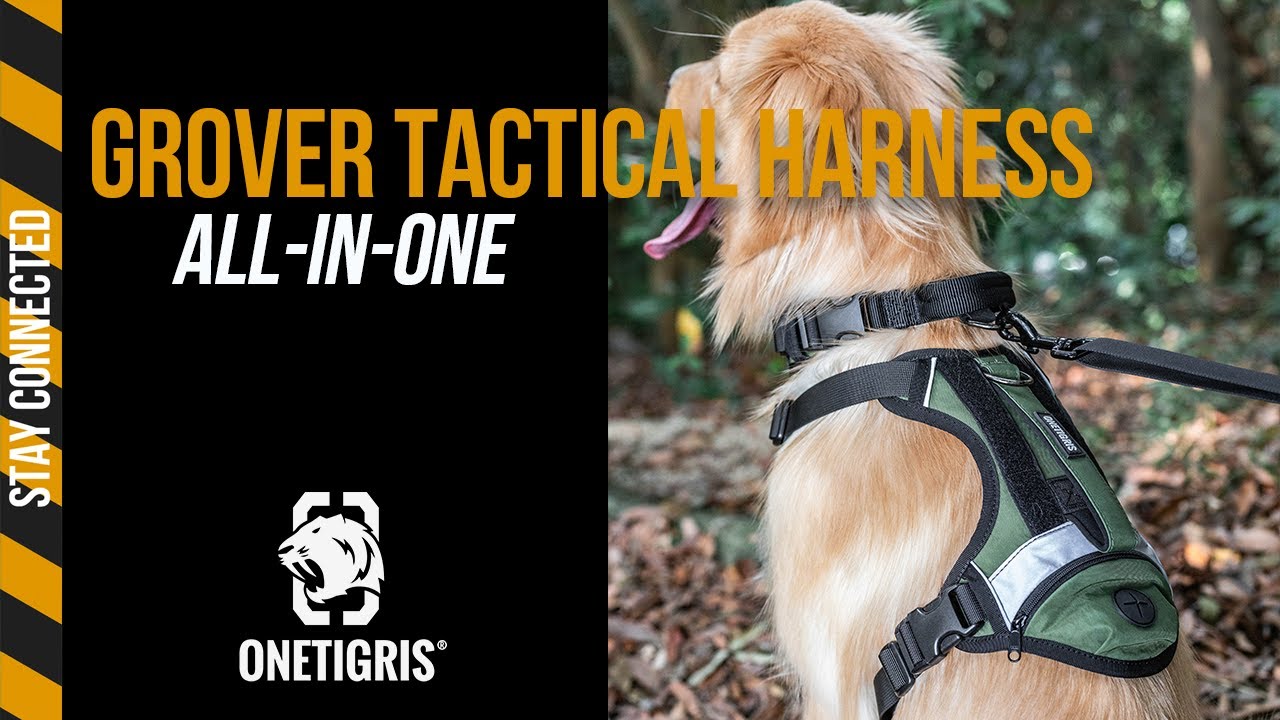 OneTigris GROVER Tactical Harness | All-in-one Dog Vest - YouTube