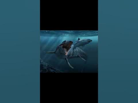 Мозозавр - YouTube