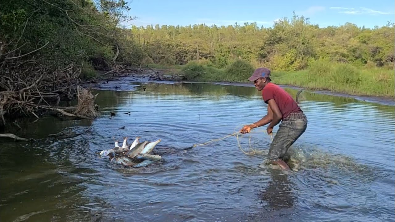 The Best Fish Catching In 2023 (Beze Hunting) - YouTube