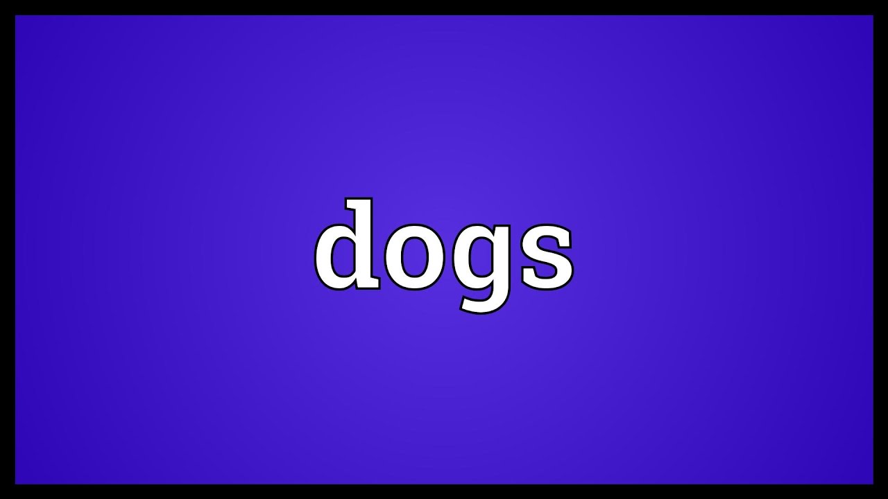 Dogs Meaning YouTube dogs-meaning-youtube