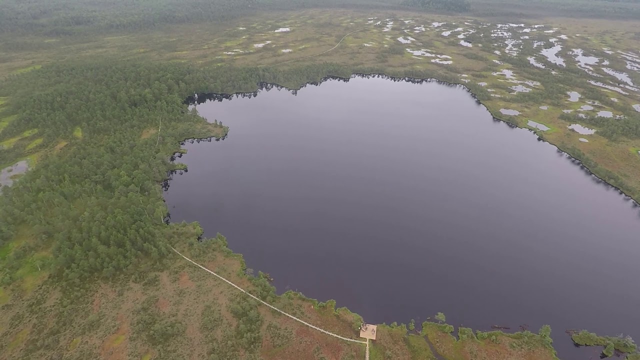 Kakerdaja raba 2019 - YouTube