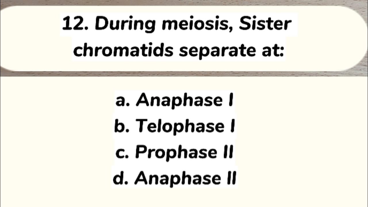 Multiple choice questions on Meiosis - YouTube