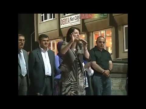 HDP-Pervin Buldan-PKK