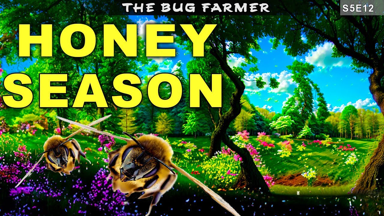 The Nectar Flow Has Begun | It's time for the bees to get to work! # ...