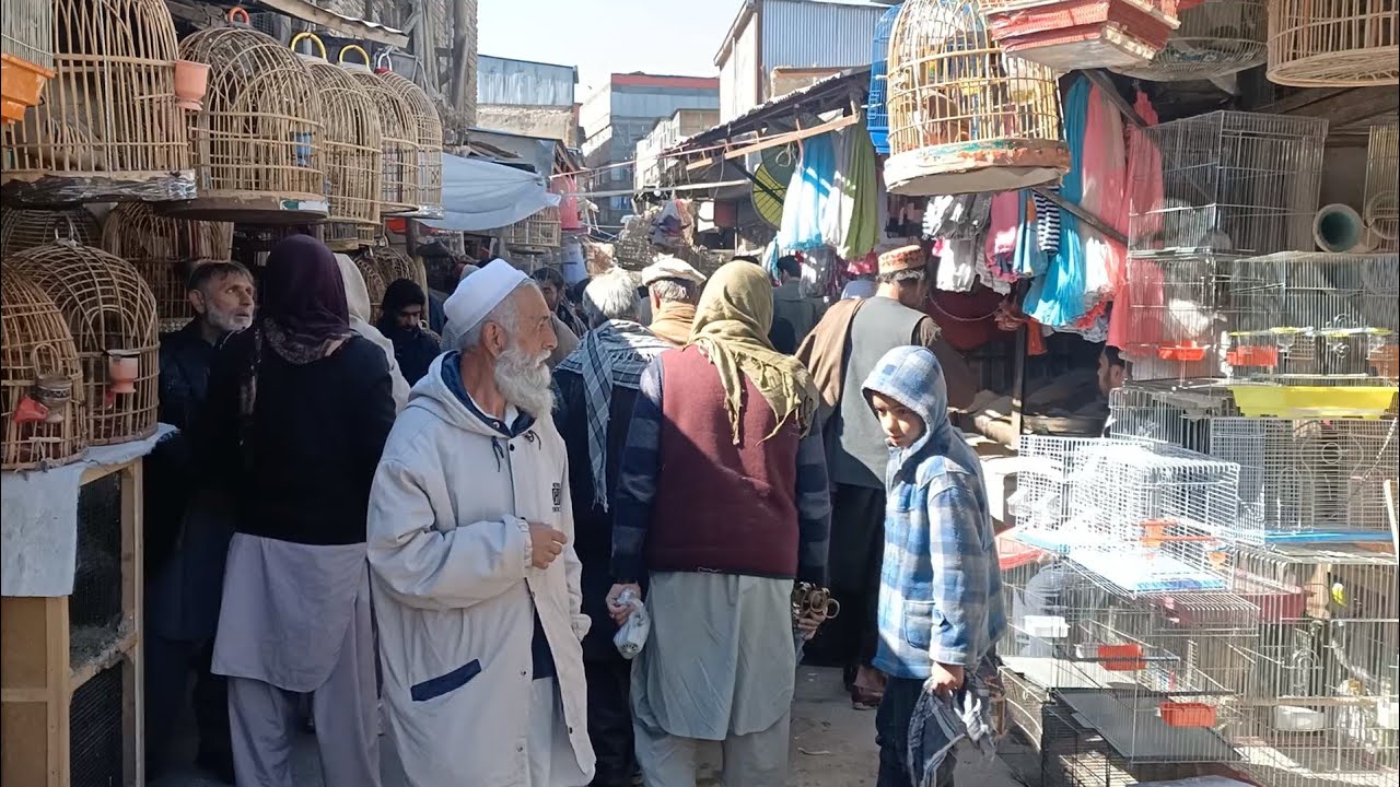 جدید ترین ویدیوی بازار کاه فروشی کابل|| The Ancient Bazaar in Kabul ...