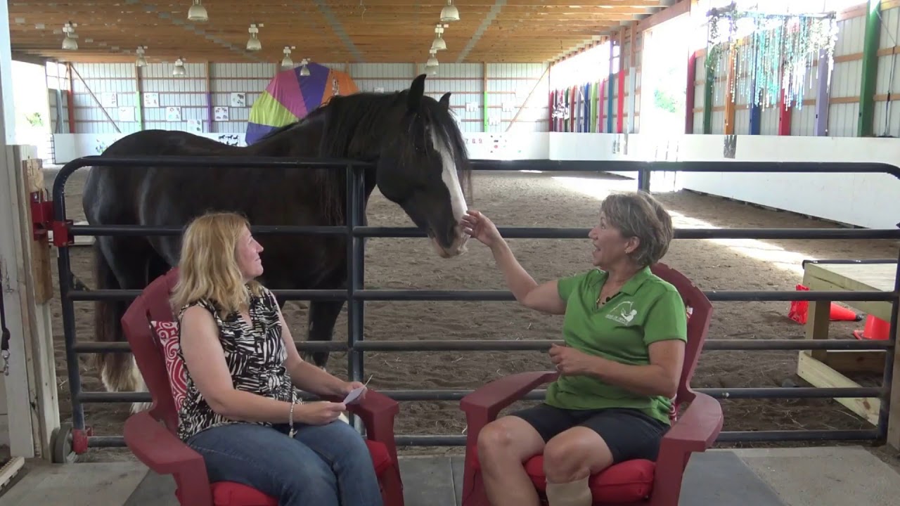 Reins of Grace Therapeutic Riding Center - All About The Grace- Episode ...