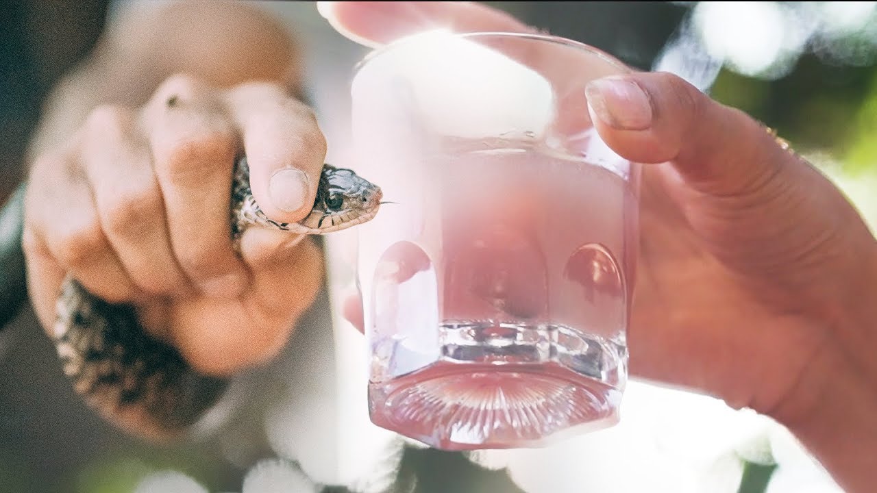 Drinking Snake Blood & Eating Snake In Vietnam - YouTube