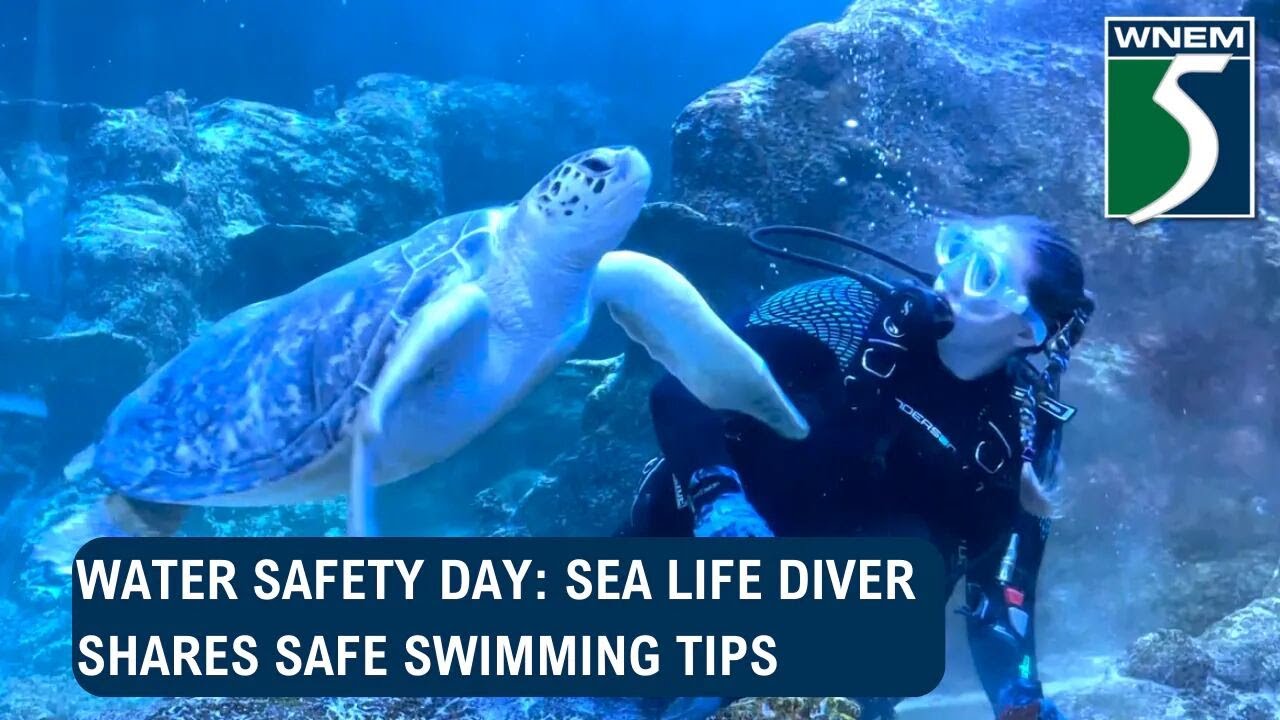 Sea Life water safety tips - YouTube