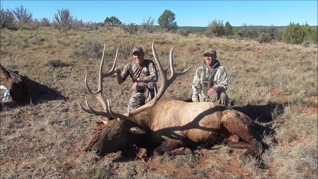 Northern Arizona Elk Hunt 2016..."2 Big Bulls In 6 Days!!!" - YouTube