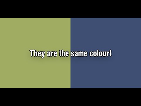 These squares are the same colour - YouTube