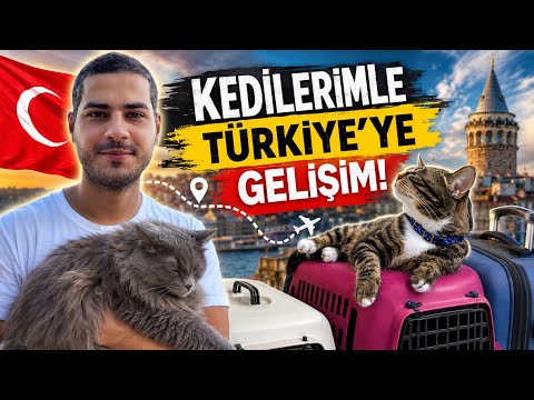 👉 Yurt Dışından Türkiye’ye Kedi Getirmek | Kedilerimle Türkiye’ye Nasıl Geldim?